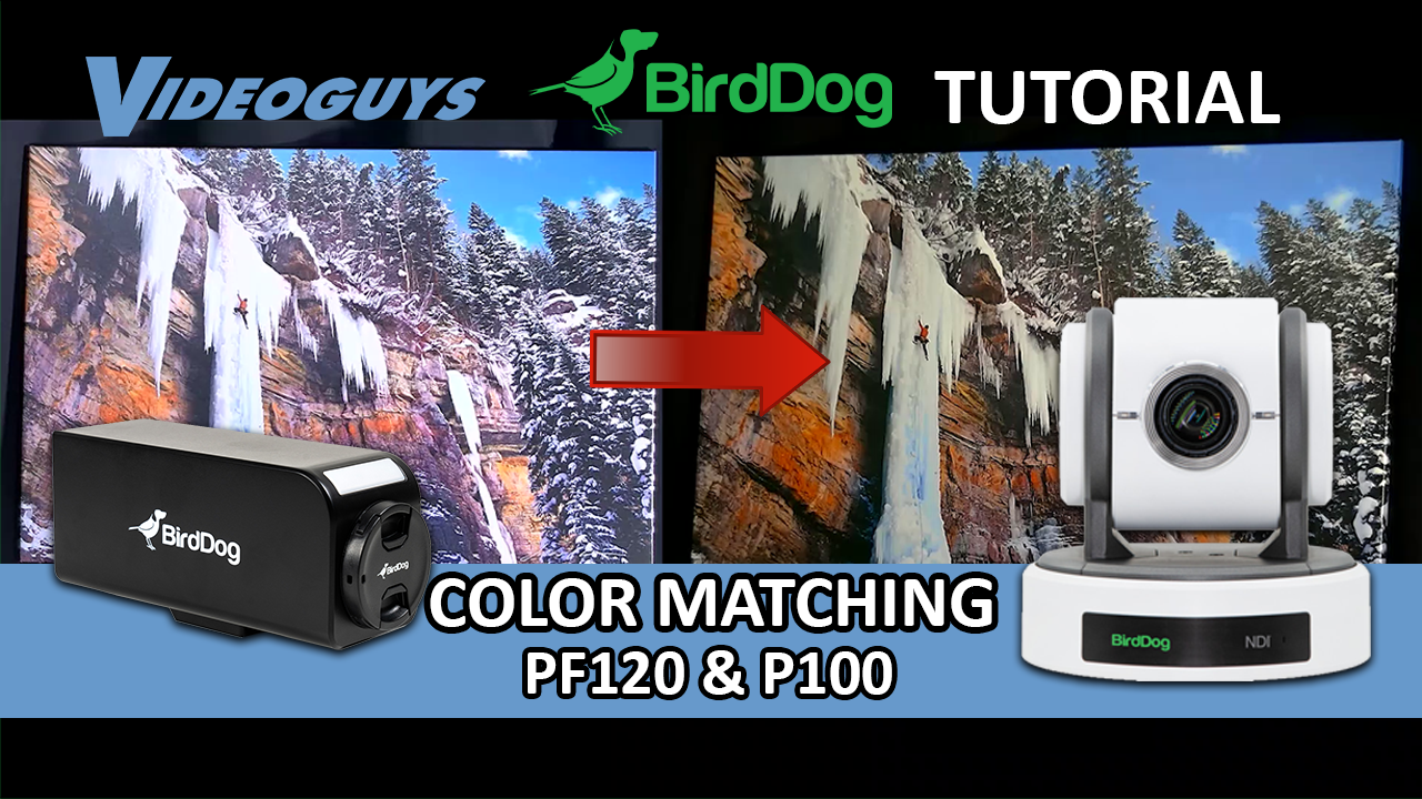 Color Match BirdDog's PF120 Box Camera & P100 PTZ Camera – Videoguys